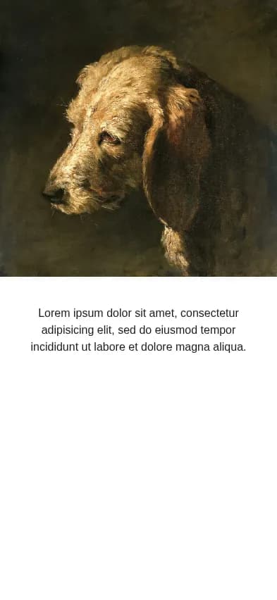 Pet Swipe App: Dog to Cat