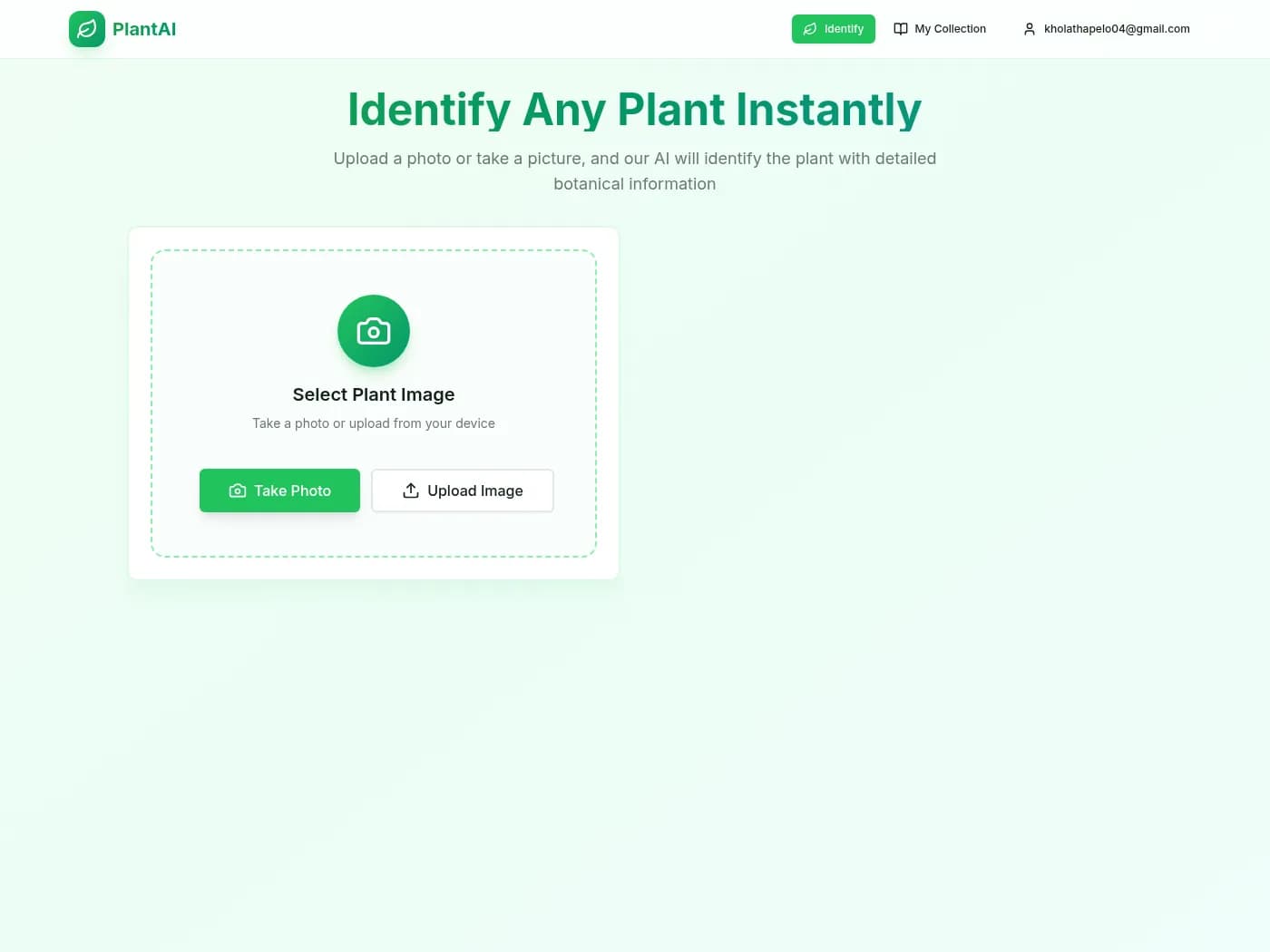PlantAI: Real-Time Intelligent Plant Identification and Encyclopedia