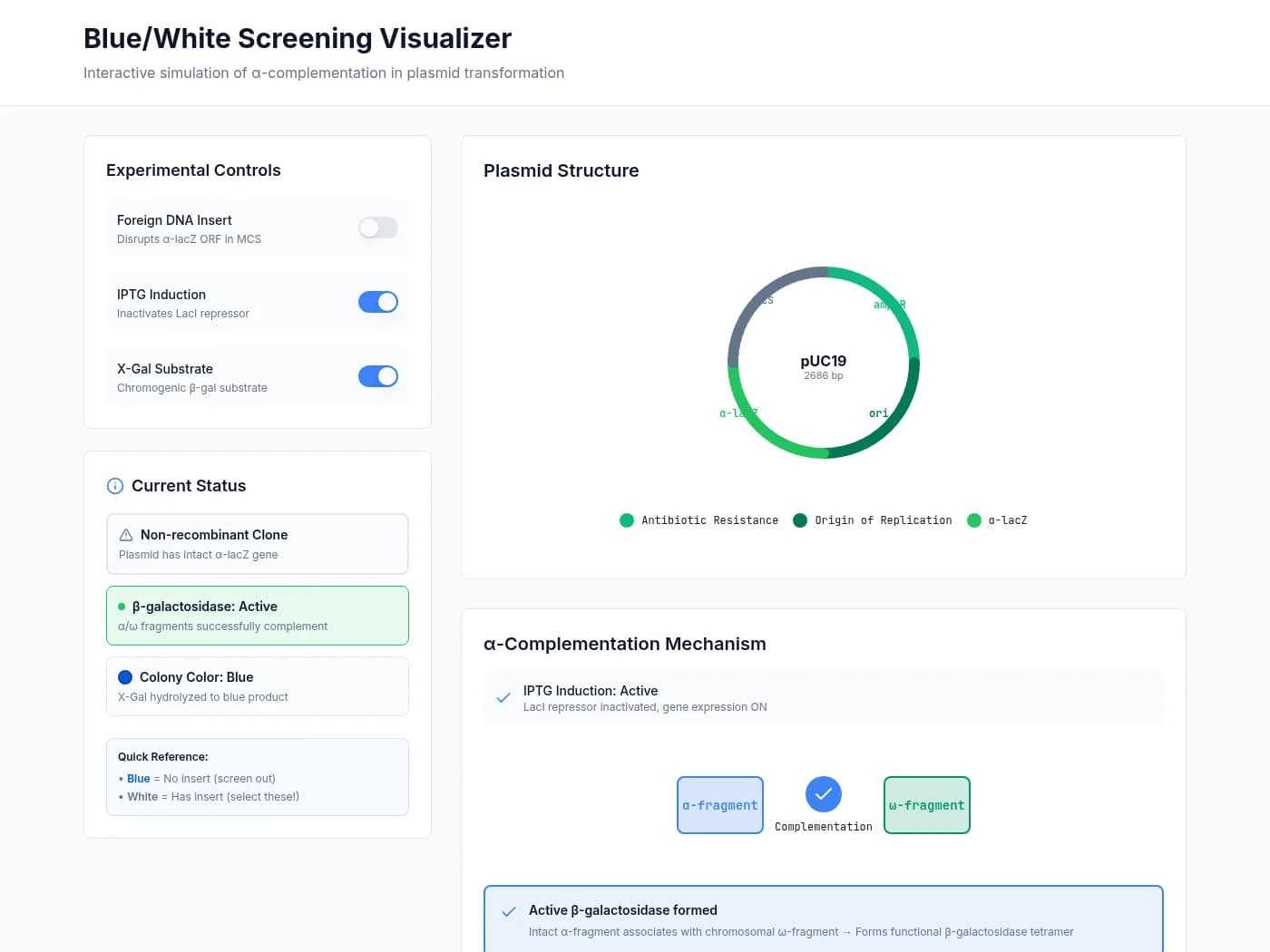 Plasmid Blue/White Screening Visualizer