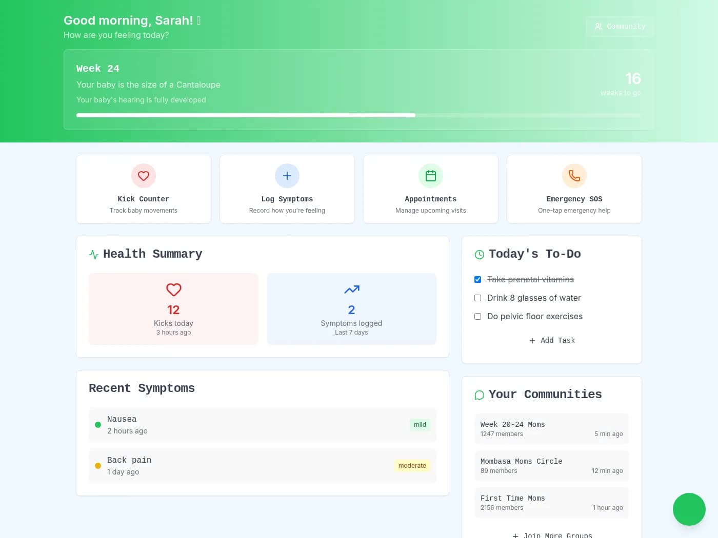 PregnaCare: Unified Health & Community Platform for Mothers