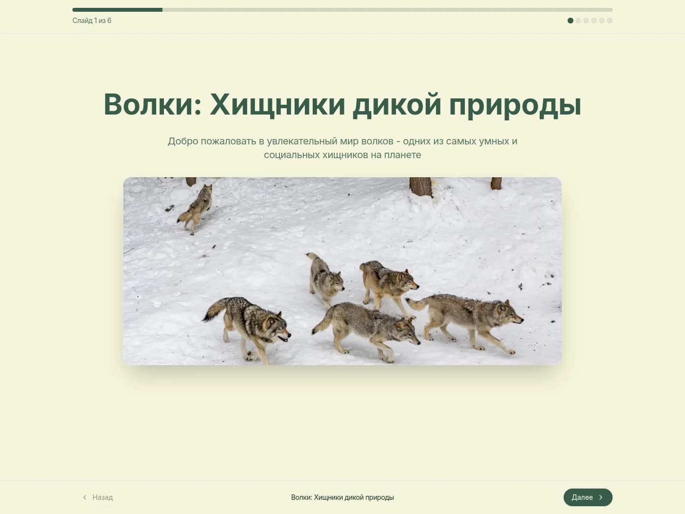 Интерактивная презентация о волках