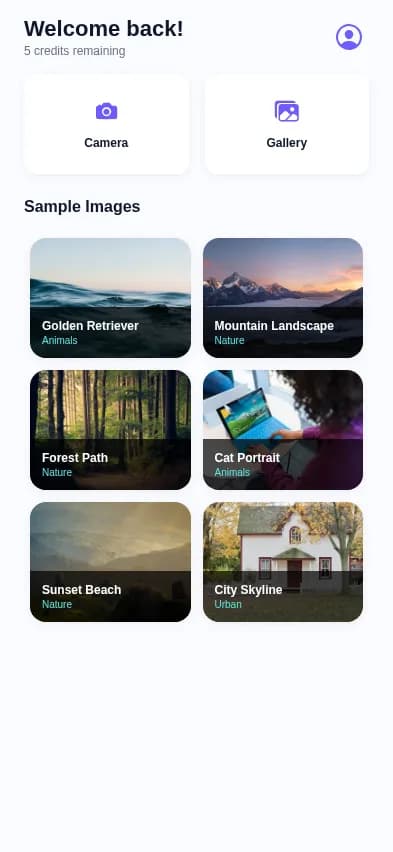 PromptPix: Fast, Minimal Native AI Image Generation App with Bloom-Inspired UI