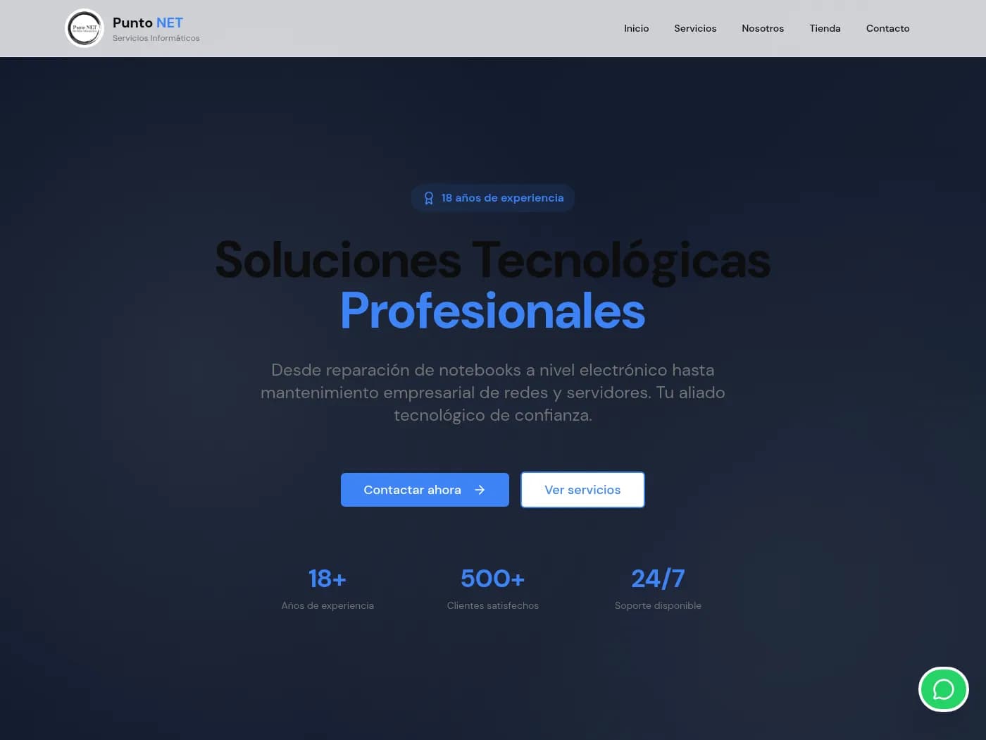 Website for PUNTONET Servicios Informáticos – Modern Informatic Services Showcase