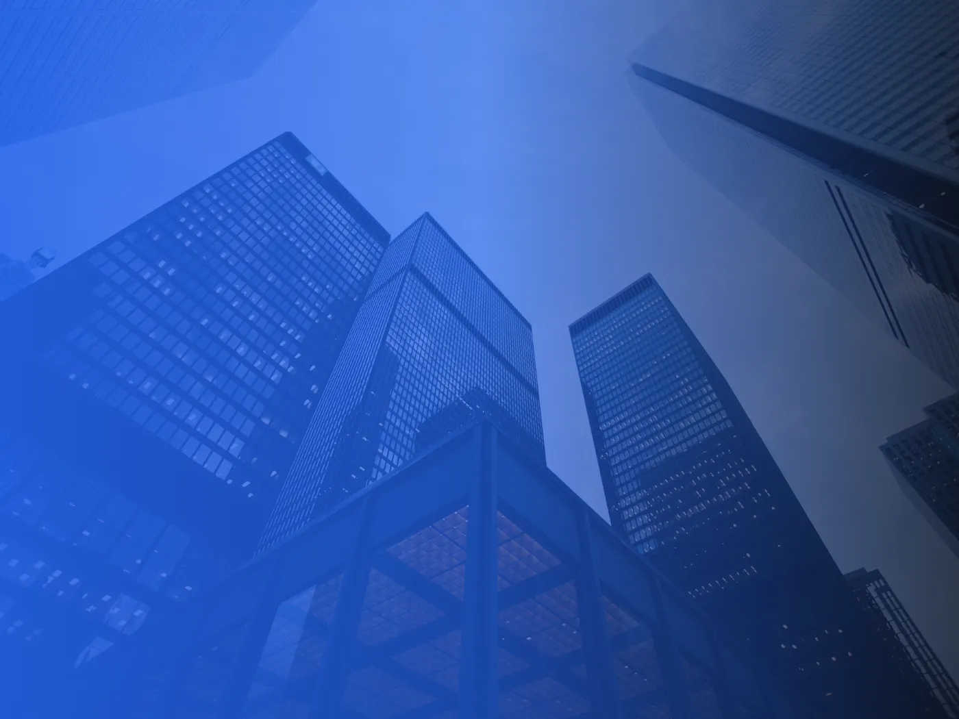 Riyadh Elite Consulting Web Experience