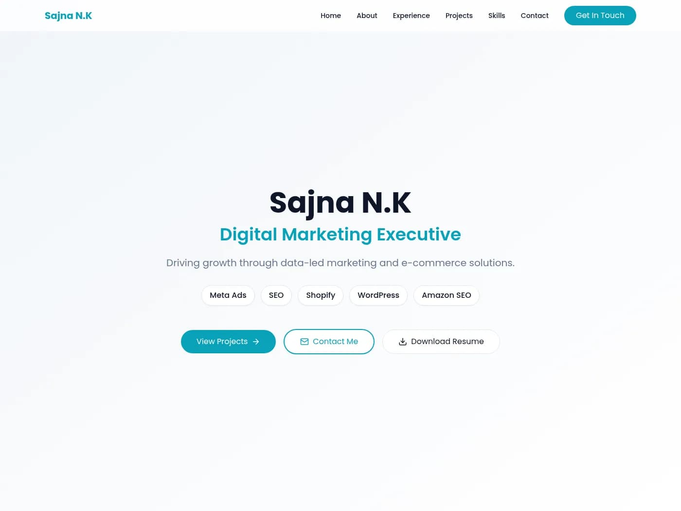 Sajna N.K Digital Marketing Executive Portfolio Website