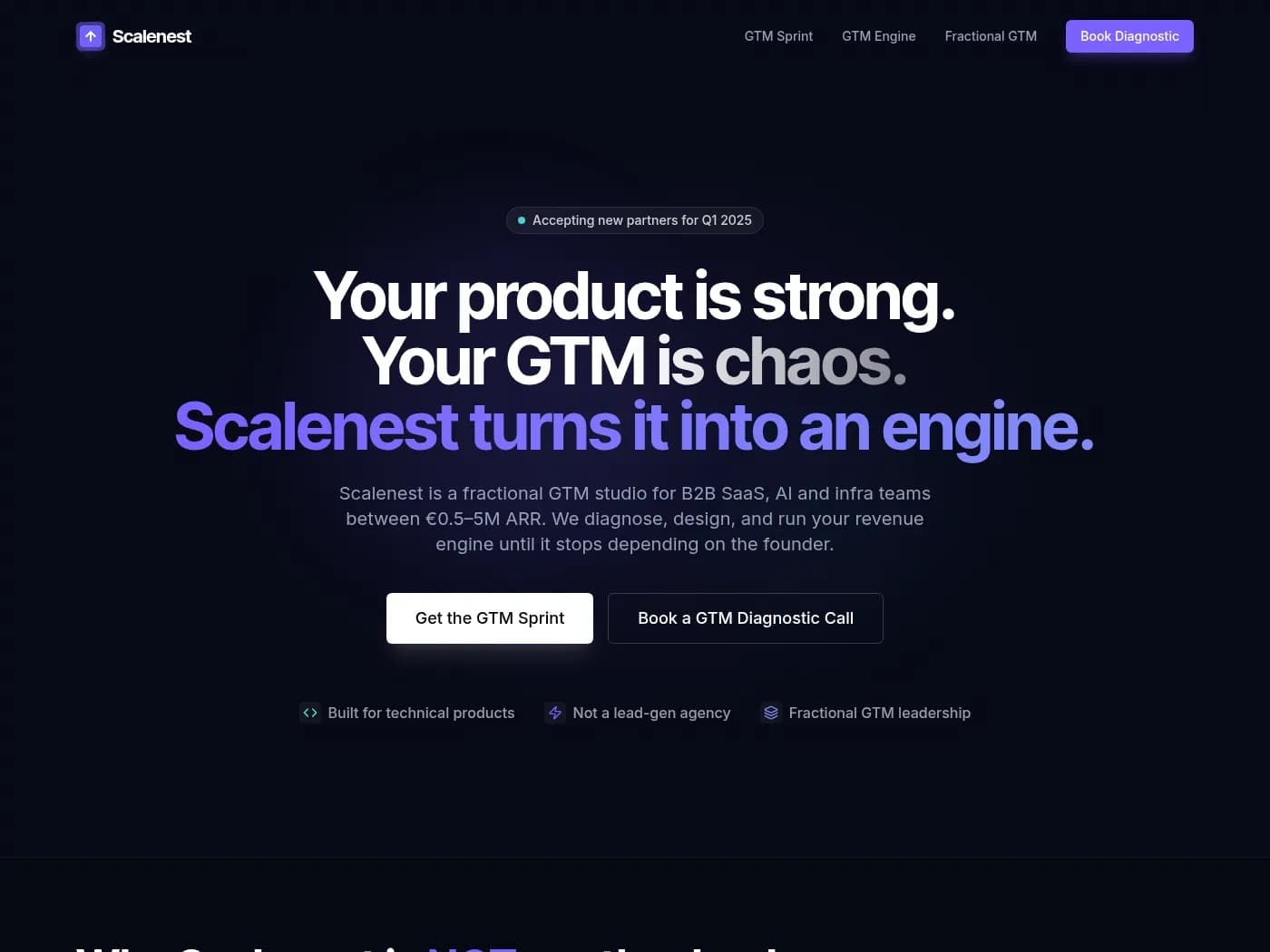 Scalenest Elite Fractional GTM Studio Website