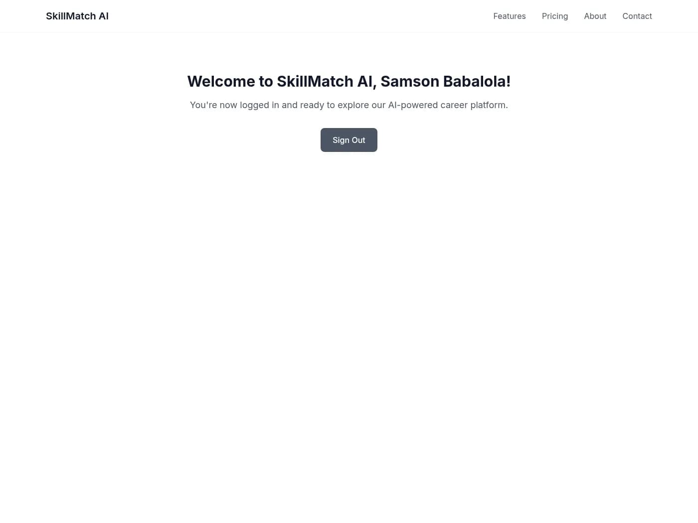 Screenshot-Inspired Professional Website