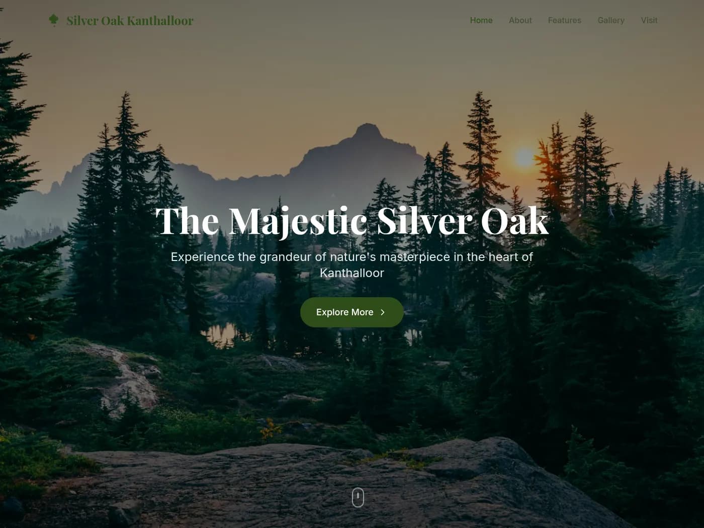 Silver Oak Tree in Kanthalloor Website