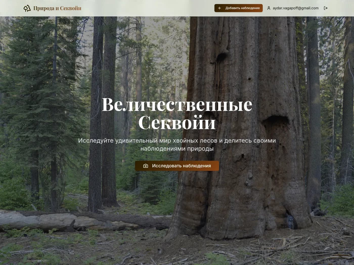 Простой сайт-визитка