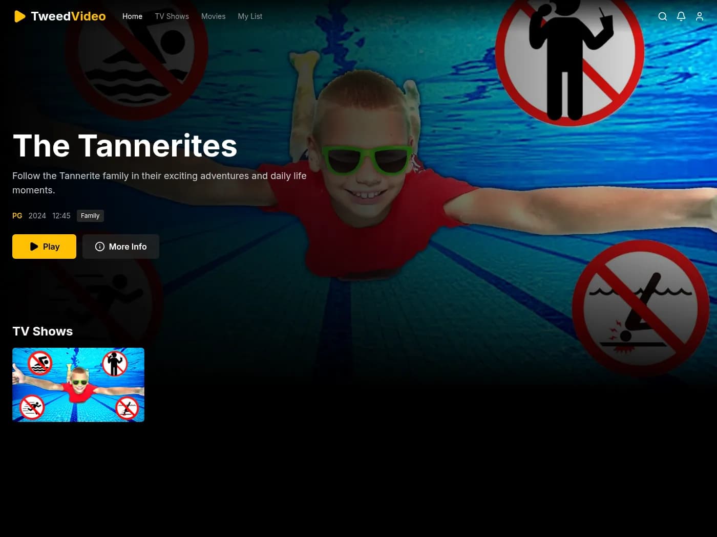 TweedVideo: Modern Streaming Service with Netflix-Style UI