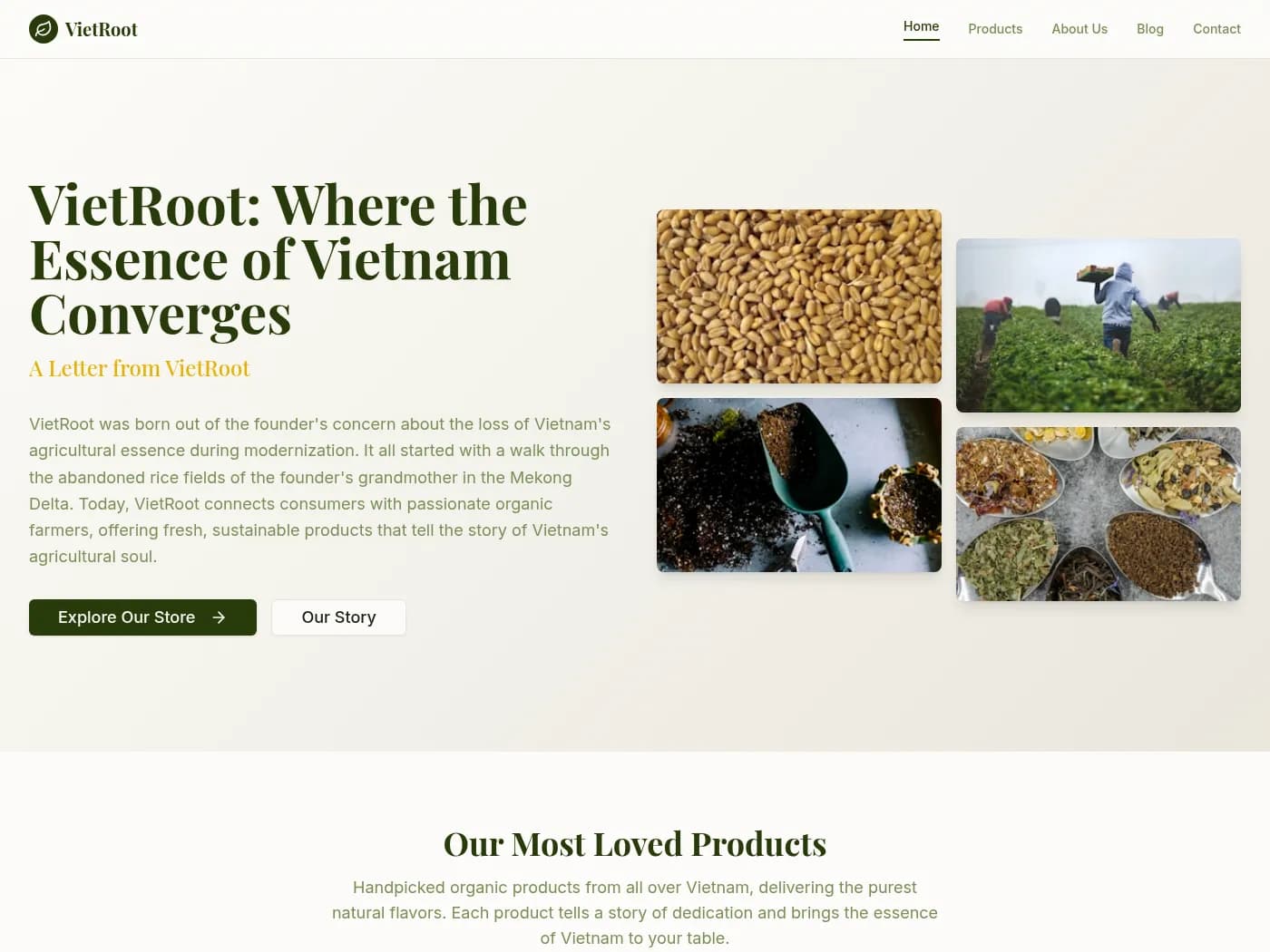 VietRoot: Vietnamese Organic E-commerce Platform