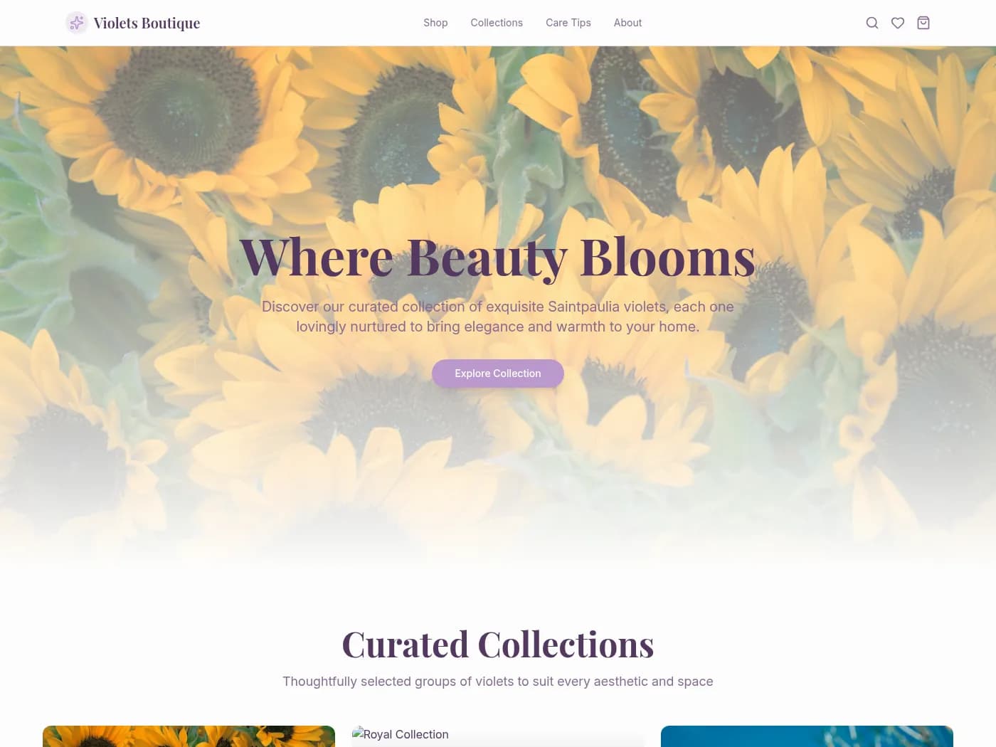 Violets Boutique – Elegant Online Store for Saintpaulia Lovers