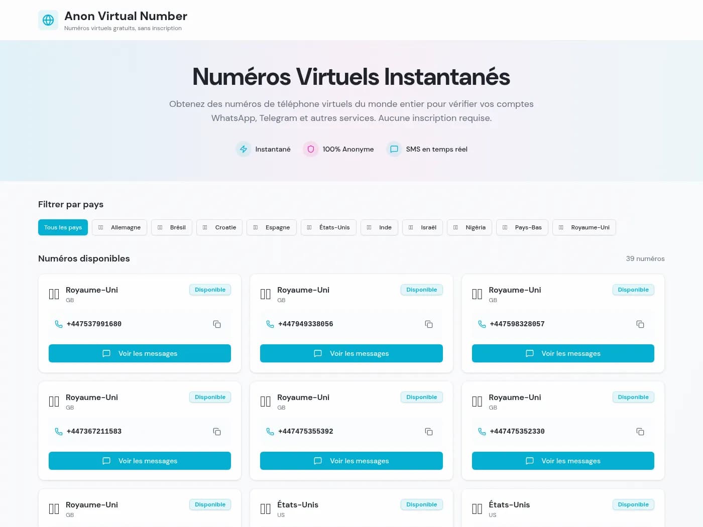 Anon Virtual Number Hub