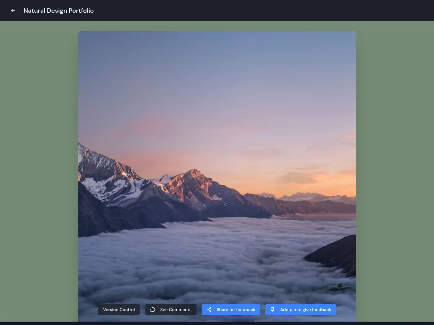 Visual Feedback and Annotation Platform Inspired by Custom UX