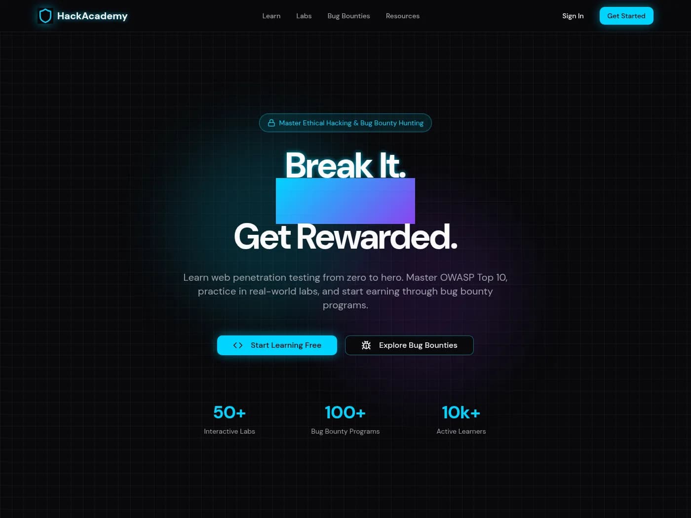Web Penetration Testing & Bug Bounty Portal
