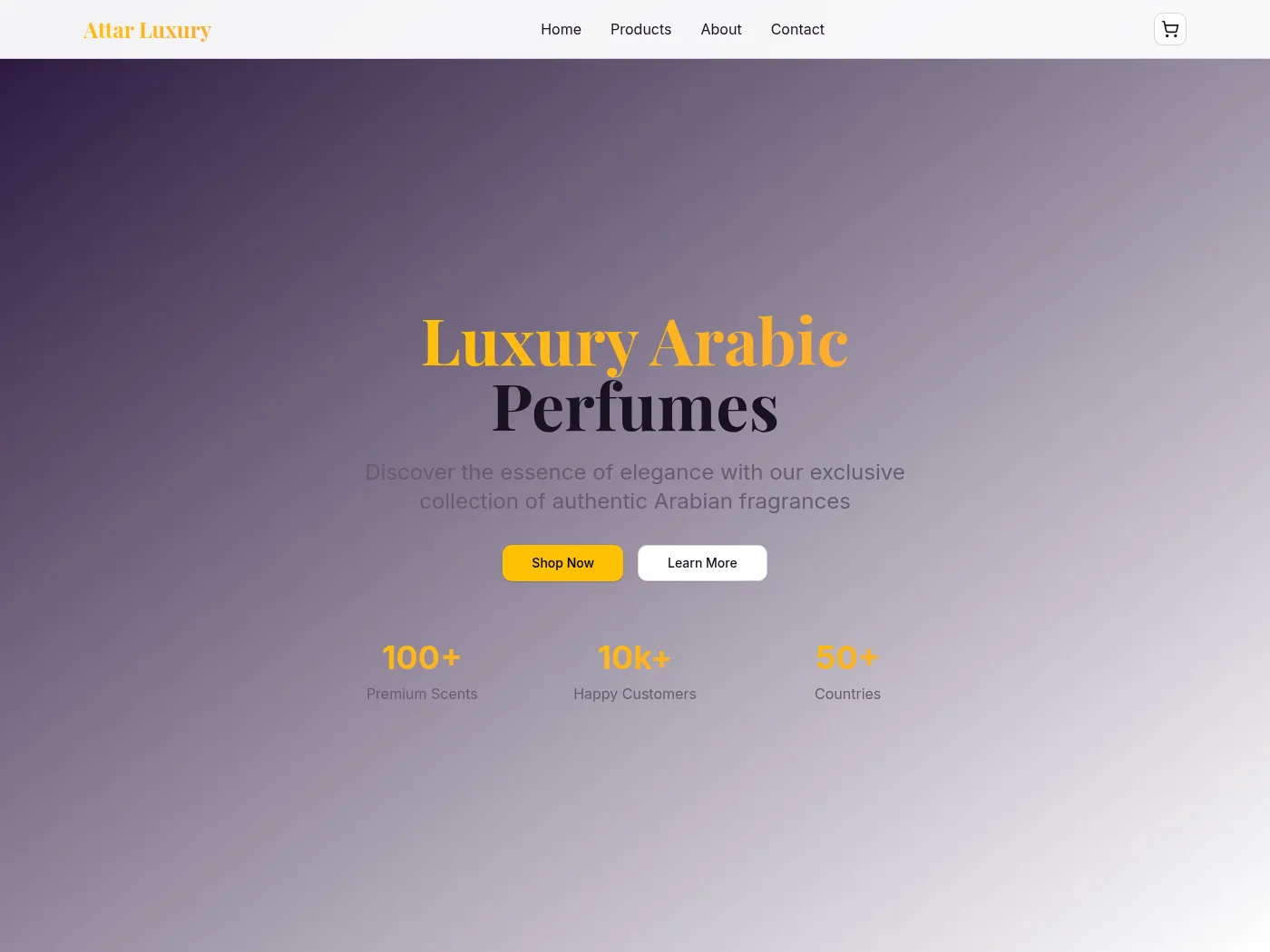 Website Development Services Showcase