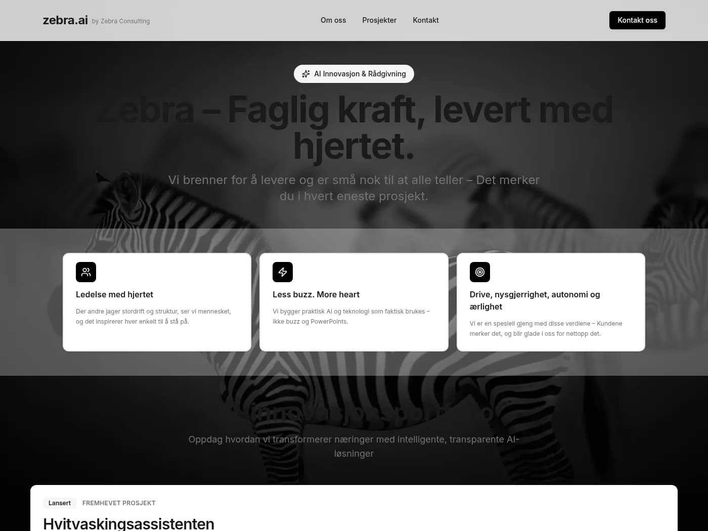 Zebra.ai Portfolio Web App for Zebra Consulting's AI Innovations